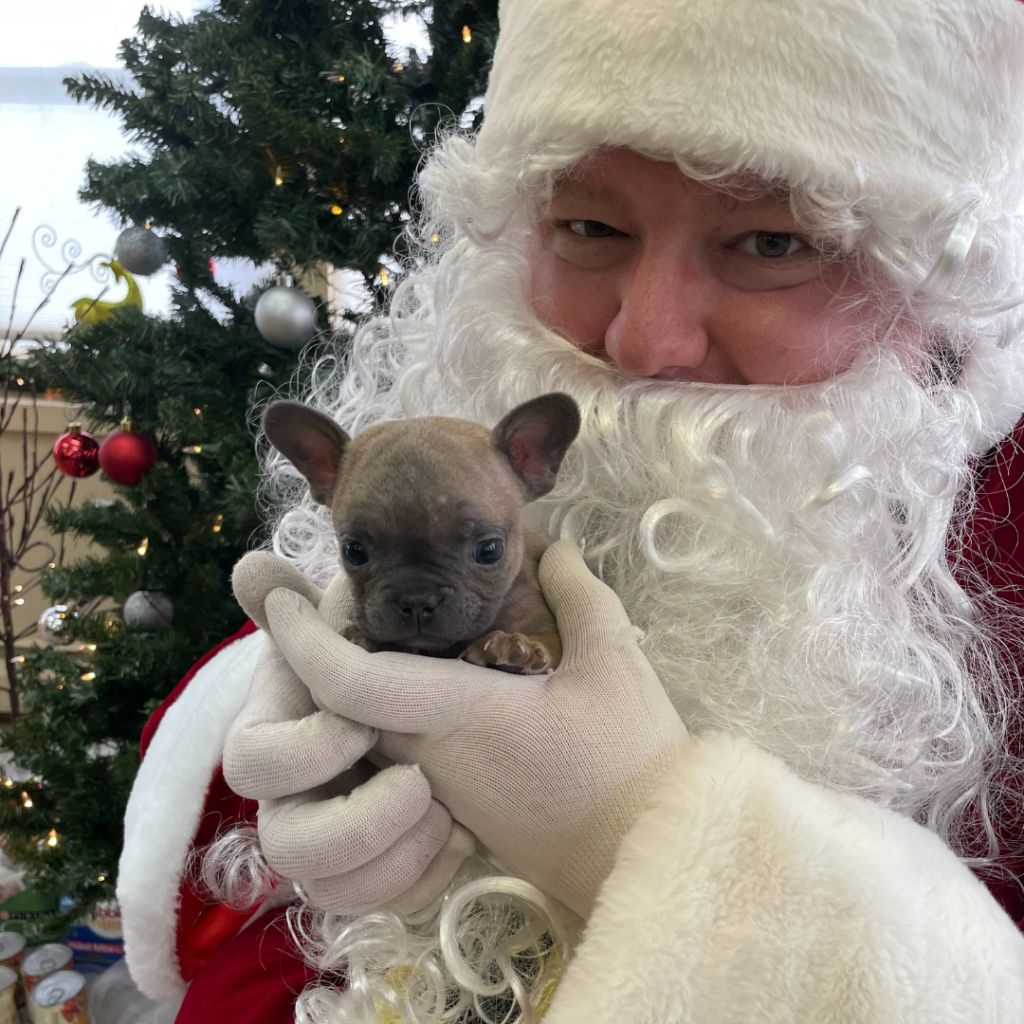 Home - Fitzmaurice Community Services